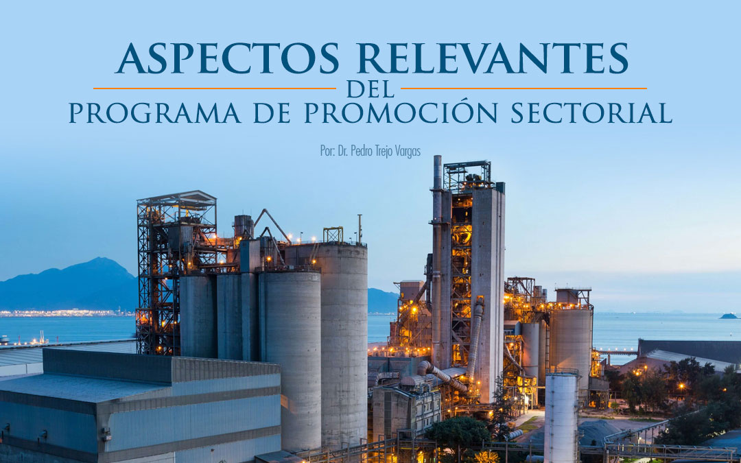 Aspectos Relevantes del Programa de Promoción Sectorial - Estrategia ...