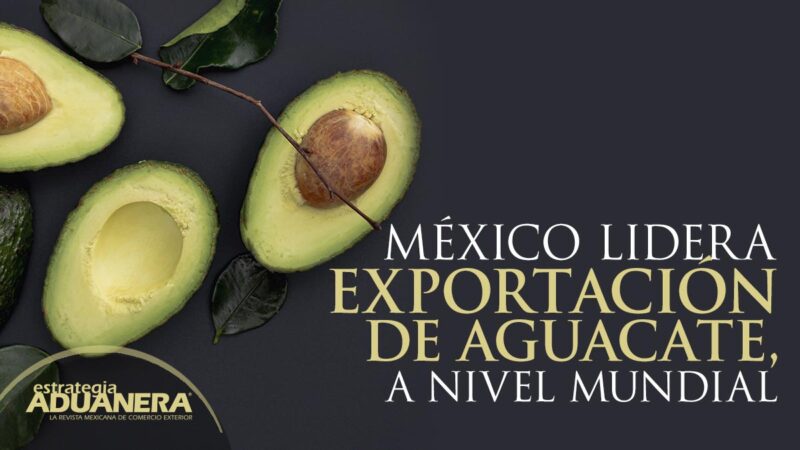 exportacion aguacate mexicano fb | Estrategia Aduanera exportacion aguacate mexicano fb | Estrategia Aduanera