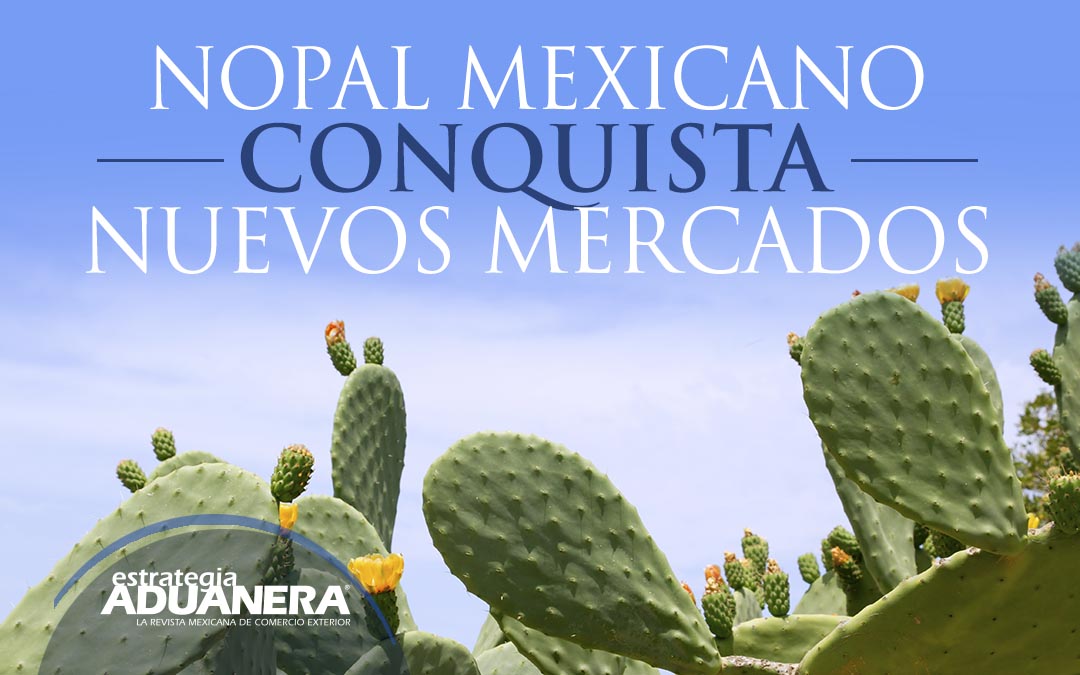 Nopal mexicano conquista nuevos mercados - Estrategia Aduanera
