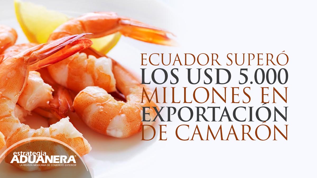 Ecuador superó los USD 5.000 millones en exportación de camarón ...