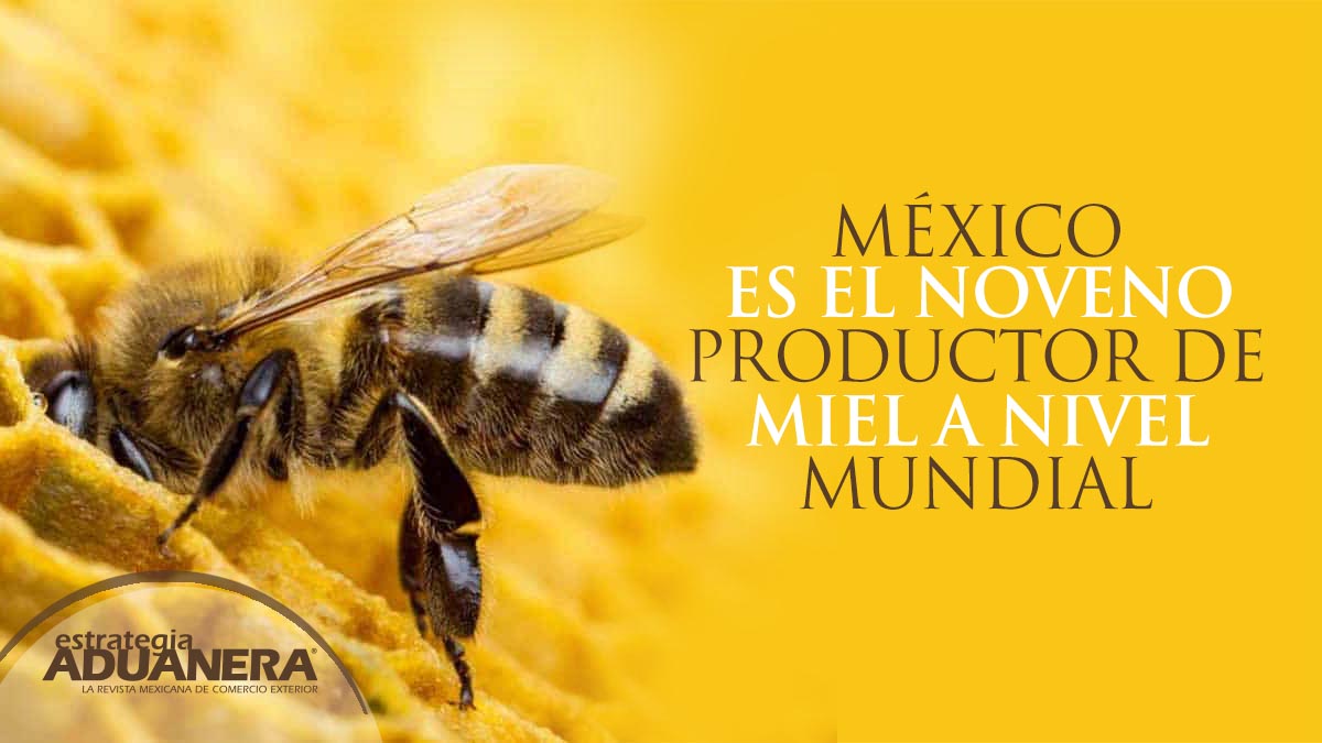 México es el noveno productor de miel a nivel mundial - Estrategia Aduanera
