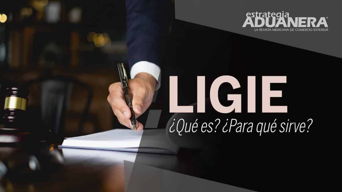 LIGIE - 6 Reglas Generales - Secciones - Actualización