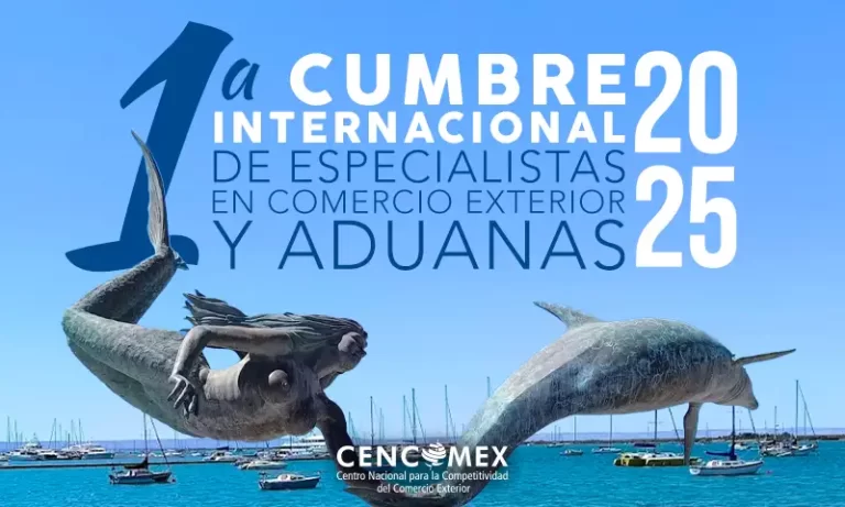 El anexo 24 y su nuevo apartado C - Estrategia Aduanera